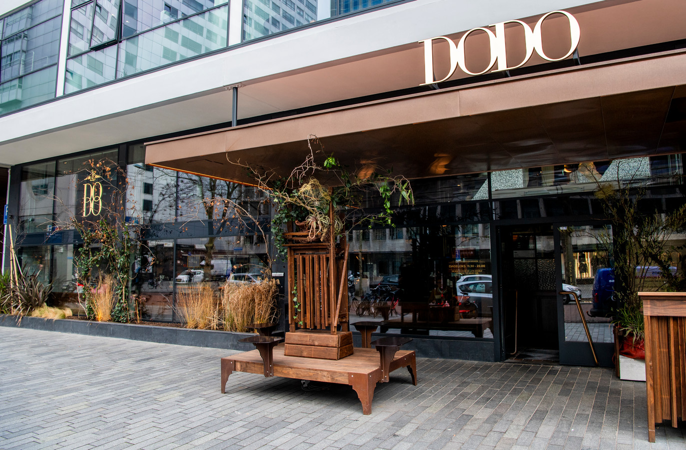 De Dodo is terug in de Rotterdamse binnenstad, als een ontluikende ...