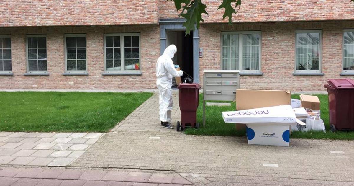 Man beschoten tijdens wandeling met hond in Schoten: daders op de vlucht | Binnenland | hln.be