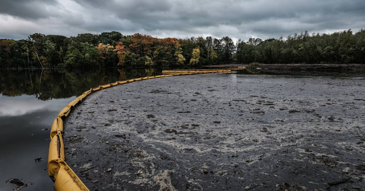 Heftige protesten leiden tot stop op stort vervuilde grond in kleiput ...