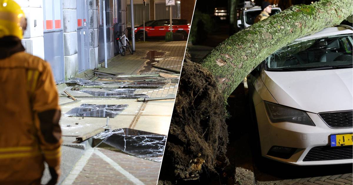 Boom valt op auto, losse dakdelen en gewonde scooterrijder: Storm zorgt ...