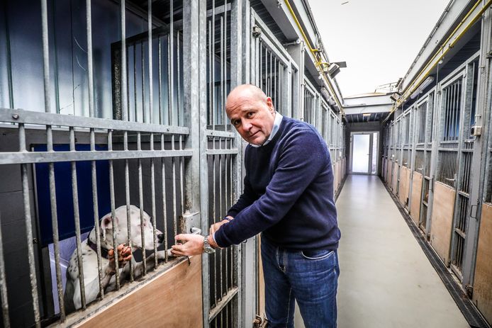 Controle van politie zet discussie over dierenasiel op scherp: “Als het ...