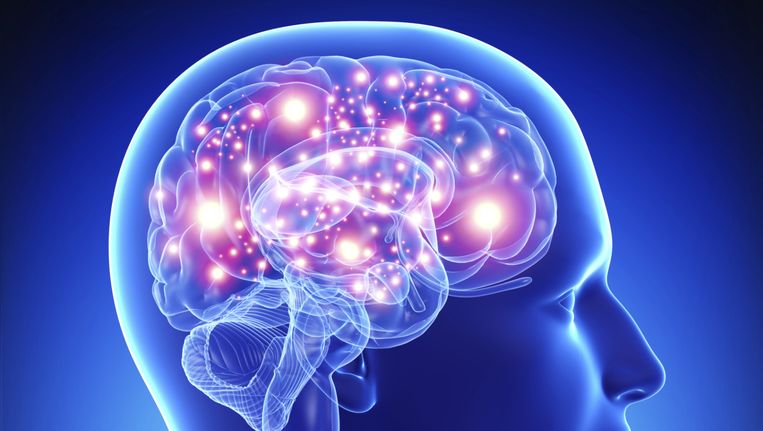 Een chip die werkt als menselijk brein: hoe werkt dat? | De Volkskrant