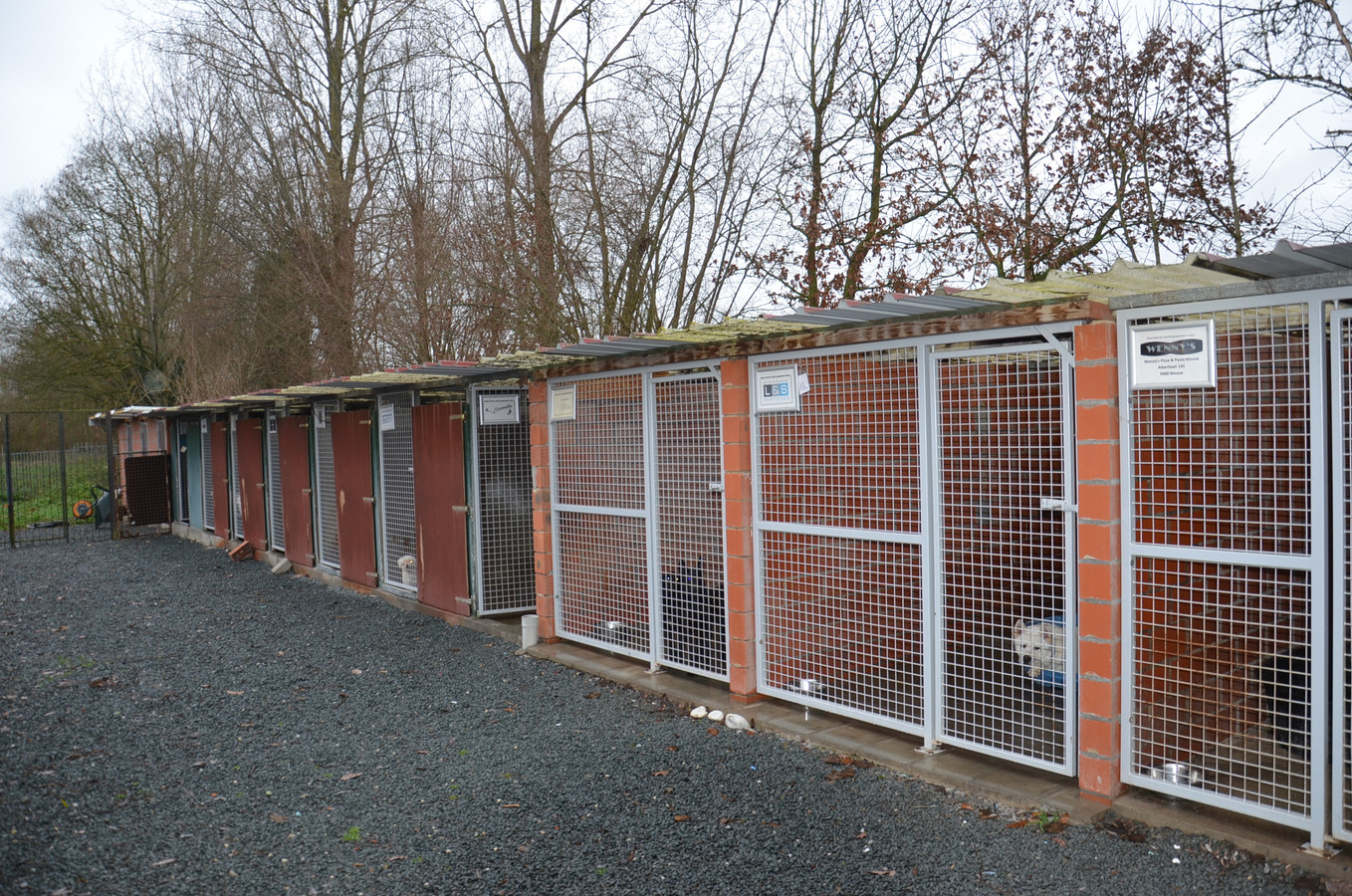 Werken op nieuwe locatie dierenasiel gaan van start: “We hopen deze ...