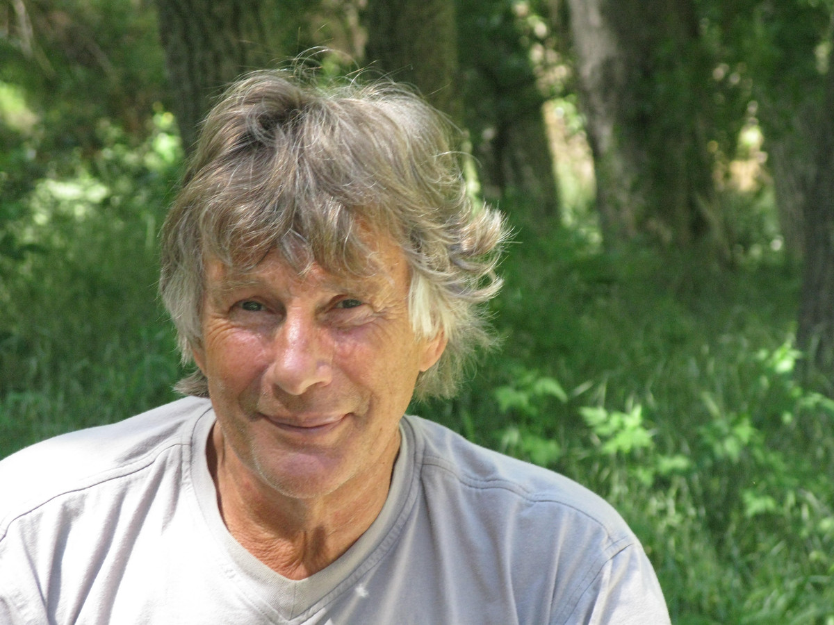 Martin Gaus werpt licht op oorzaken bijtende honden van Biden: ‘Het is ...