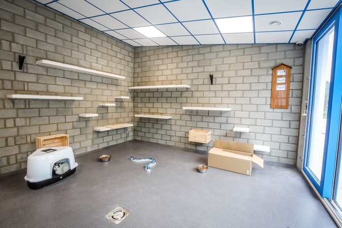 Modernste dierenasiel van het land is klaar, met dank aan erfenis van 1 ...