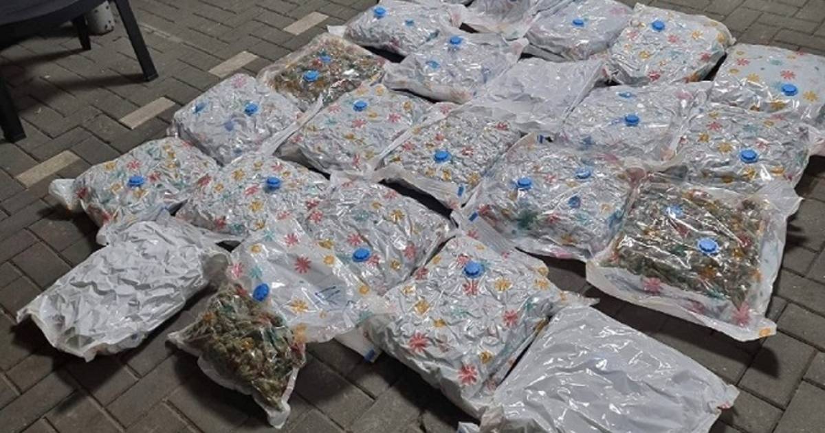 Man (30) opgepakt met 20 kilo wiet in auto | Roosendaal | bndestem.nl