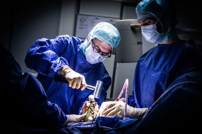 Na één nacht naar huis na heupoperatie bij ZNA: “Aangepaste behandeling ...