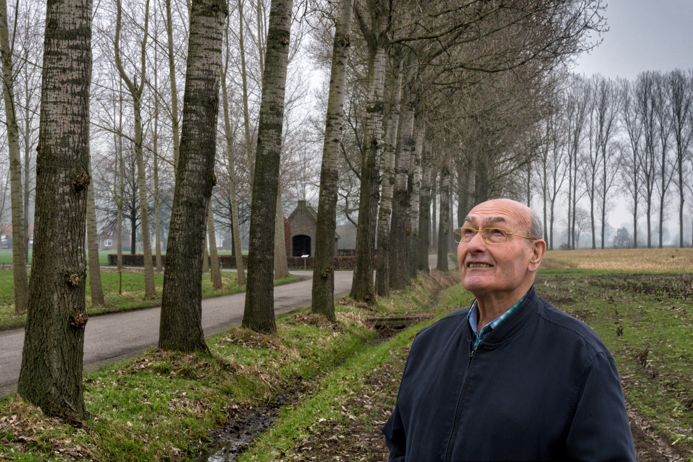 De telefoon rinkelt bij Rien: de populier is weer populair | Foto | AD.nl