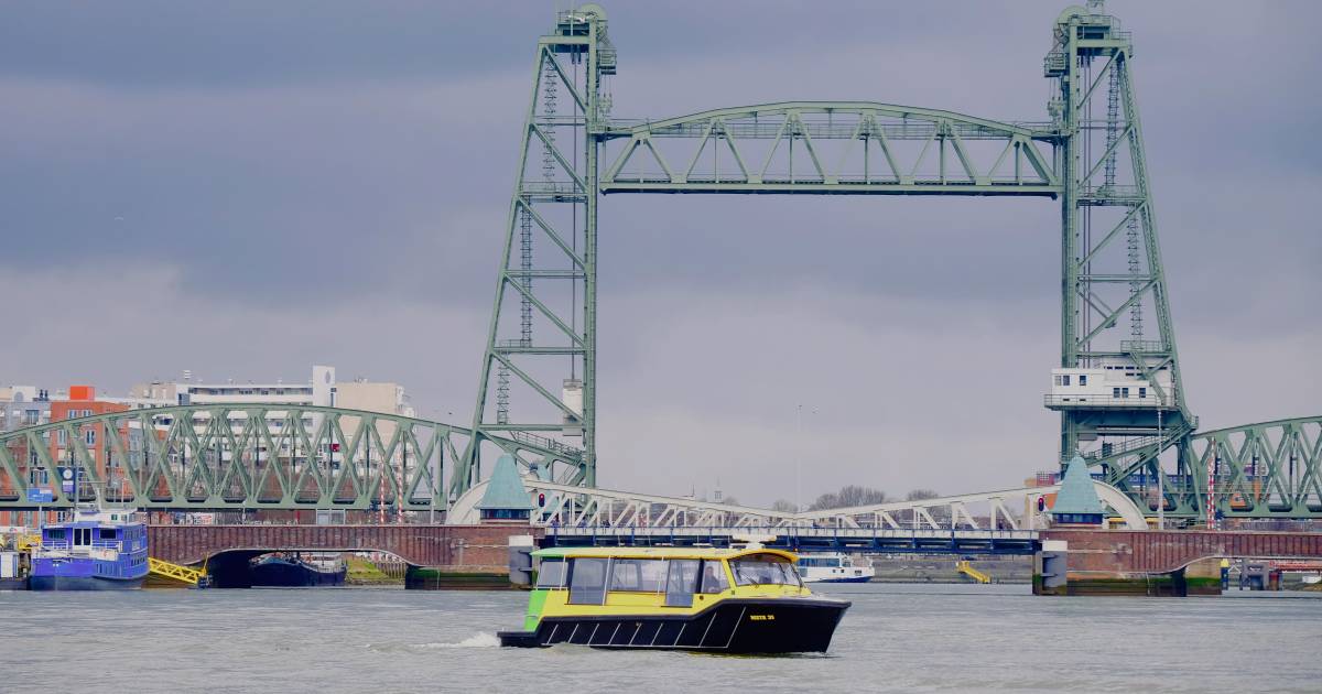 Watertaxi breidt vloot uit met extra grote boten en er kunnen wel 40 ...