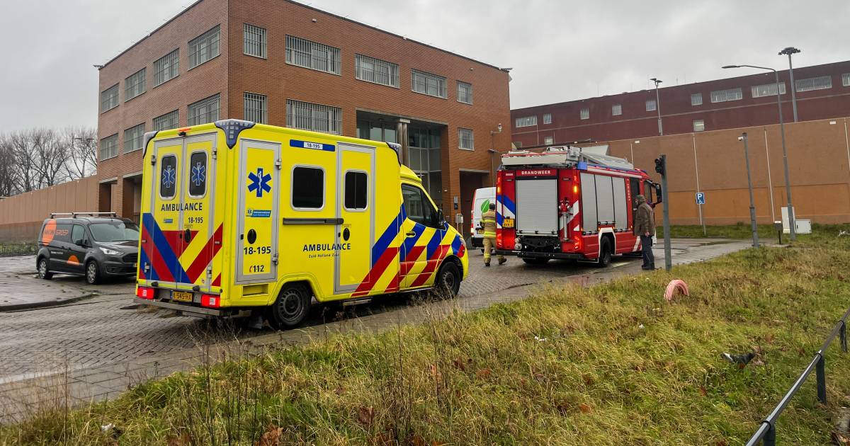 Magnetron vliegt in brand in Dordtse gevangenis | Dordrecht | AD.nl