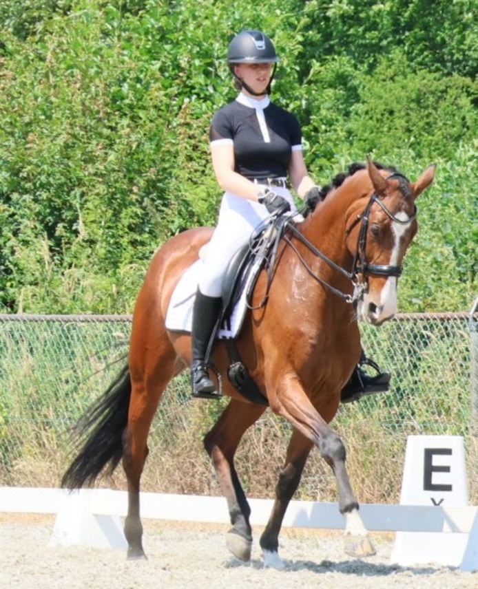 De Loos wint in Clinge met écht familiepaard, De Frel en Bonhoff vieren ...
