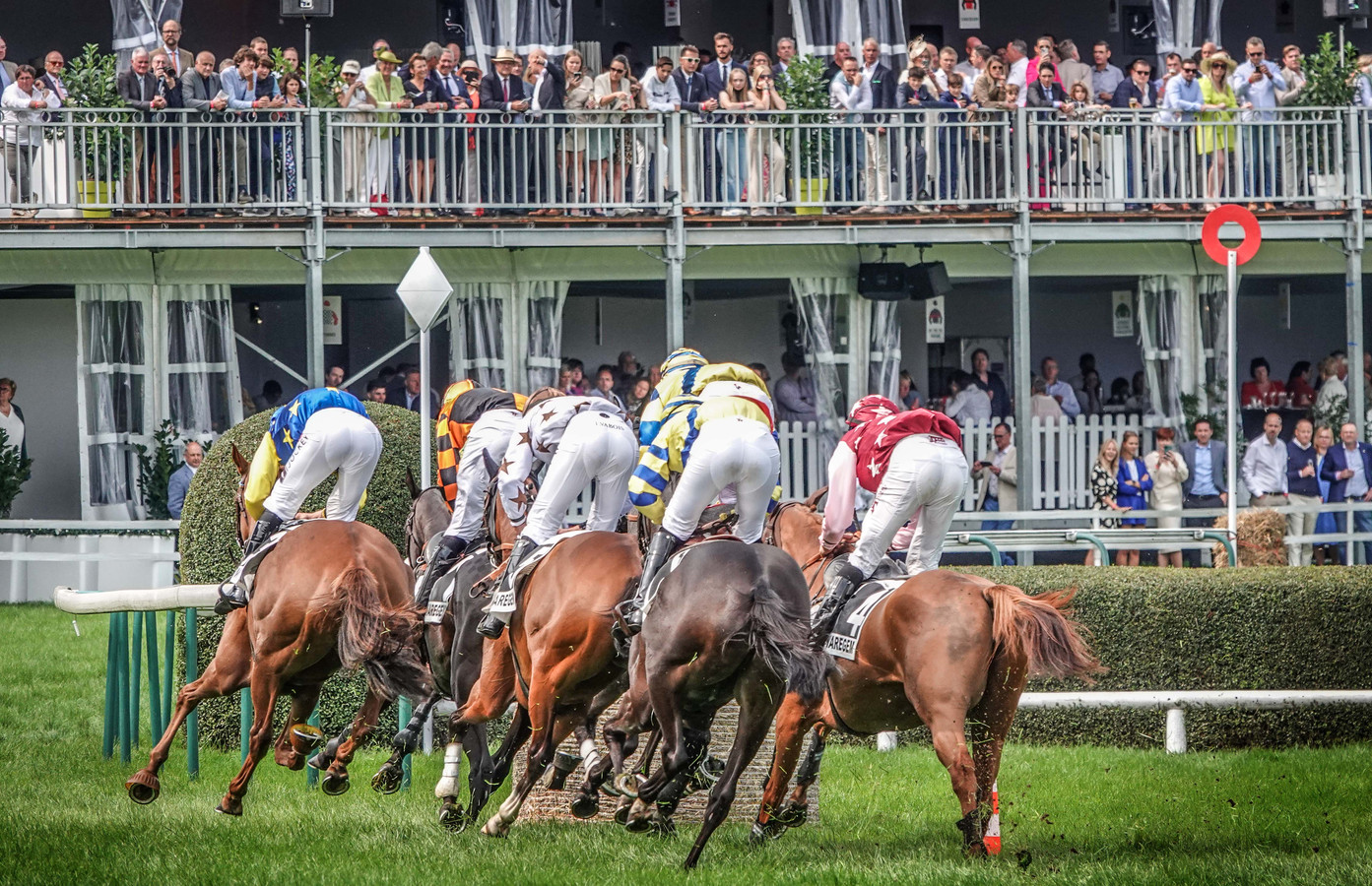 HERBELEEF. 35.000 bezoekers zien speciale hoeden en paarden racen ...