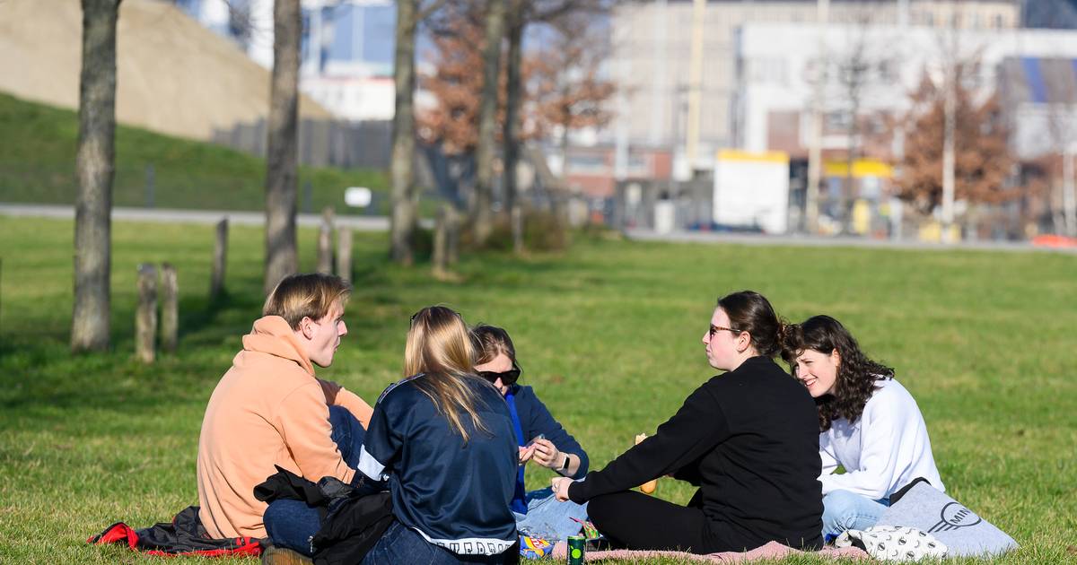 Valentijn schiet raak met heerlijke prille lentedag: heel Antwerpen ...