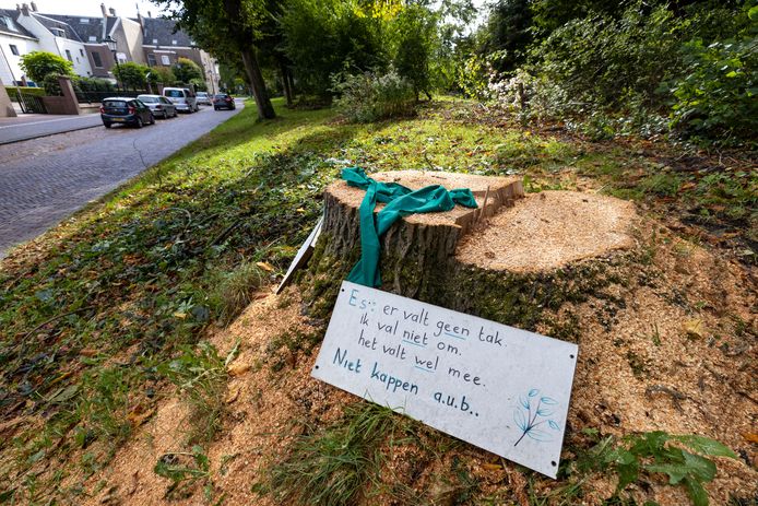 Vervuilde grond bemoeilijkt archeologisch onderzoek naar middeleeuwse ...