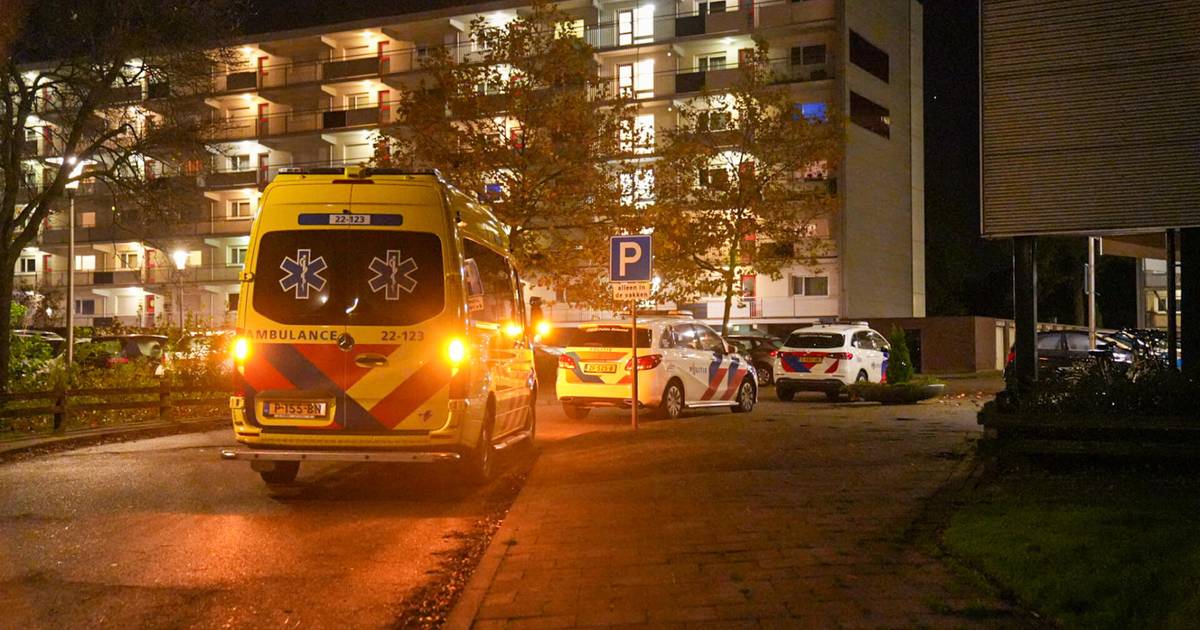 Ruziënde mannen raken gewond bij steekpartij in Helmond, politie zoekt ...
