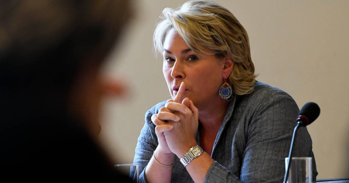 Céline Fremault demande une réunion des ministres de l'Énergie ...