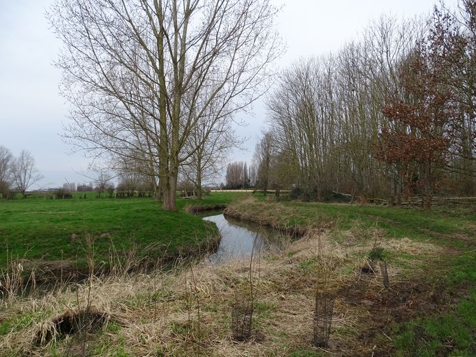 Zestiende Sneeuwklokjestocht door Massemen | Wetteren | hln.be