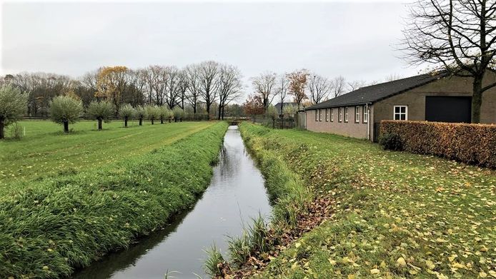 Extra poelen voor amfibieën langs Molenheide Loop en Schijndelse Loop ...