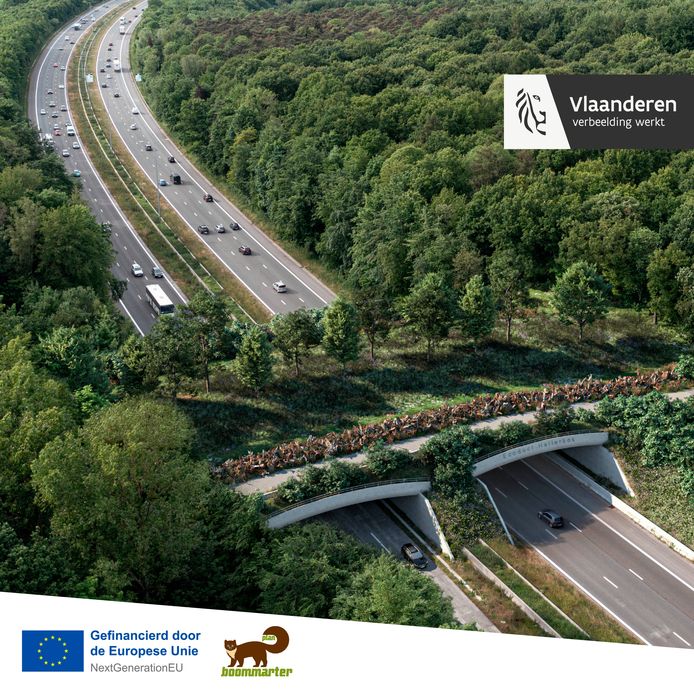 Werken voor ecoduct over R0 in Hallerbos starten in 2023 | Halle | hln.be