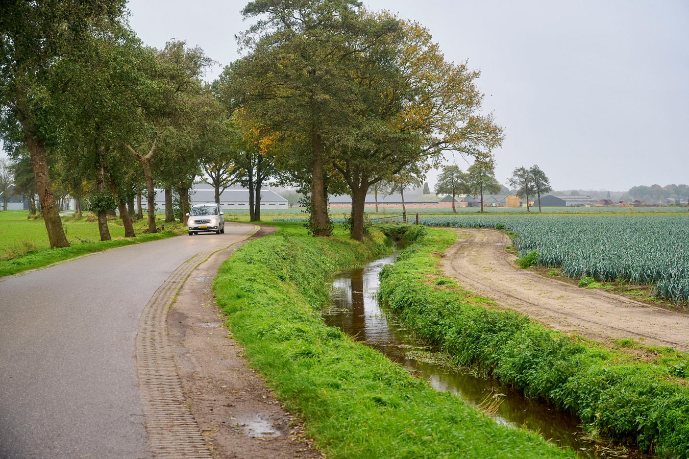 Aan de ene kant van Schaijk gaat de vlag uit, aan de andere kant van ... Aan de ene kant van Schaijk gaat de vlag uit, aan de andere kant van ...