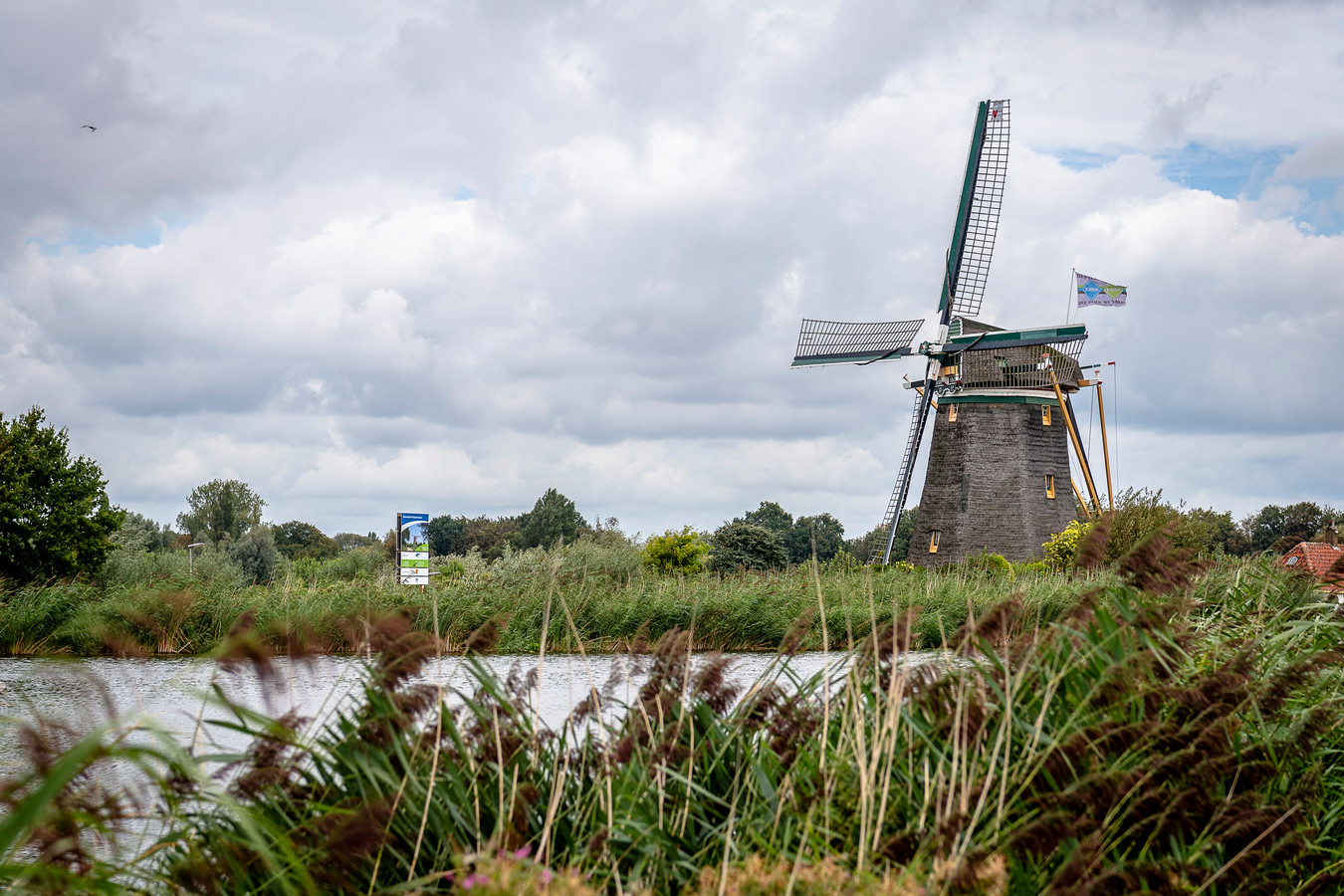 Uitgekeken op je wandelrondje? Deze natuurgebieden buiten Rotterdam ...