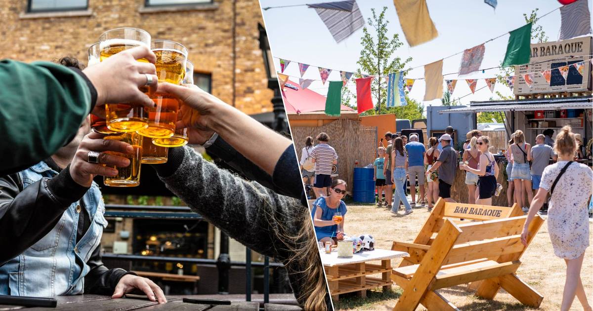4 leuke vakantietips in regio Mechelen deze week: van een bierfeest tot ...