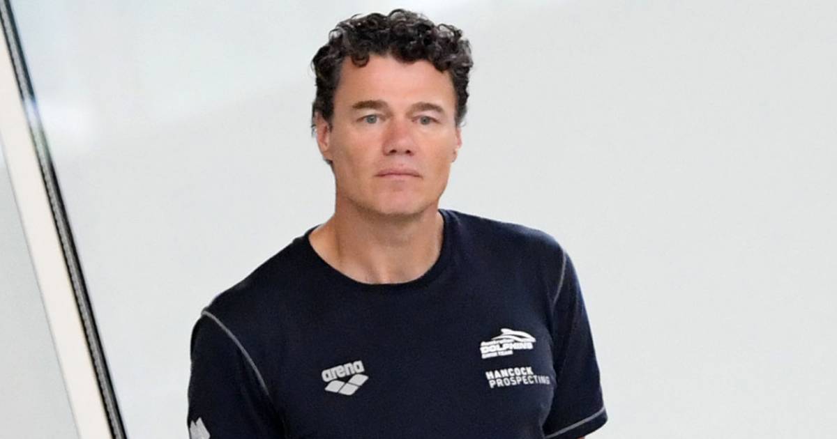 Jacco Verhaeren keert terug bij Nederlandse zwembond: ‘Nieuwe impulsen ...