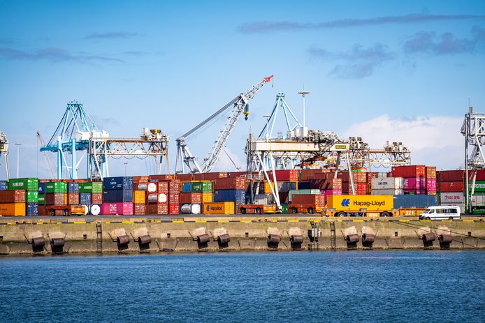 Elf uithalers in één nacht aangehouden, waarvan één minderjarig ...