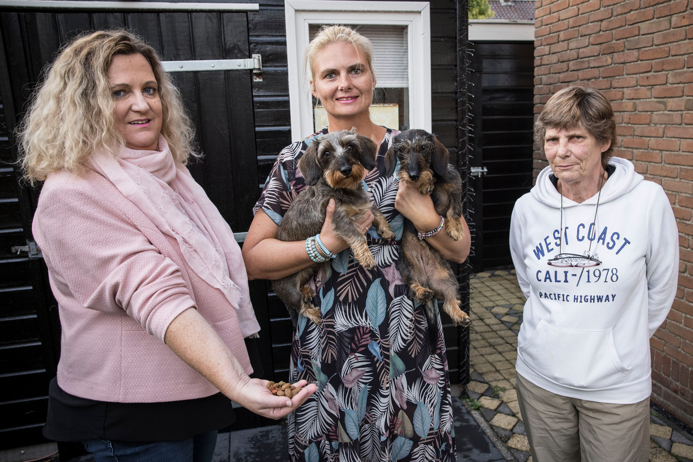 Piershil in de ban van hondenbrokkenmysterie: Dierenambulance grijpt in ...