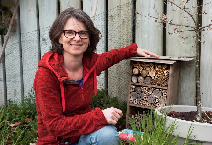 Buurtgenoten vormen 'voedselbankjes’ voor bijen | Groene Hart | AD.nl