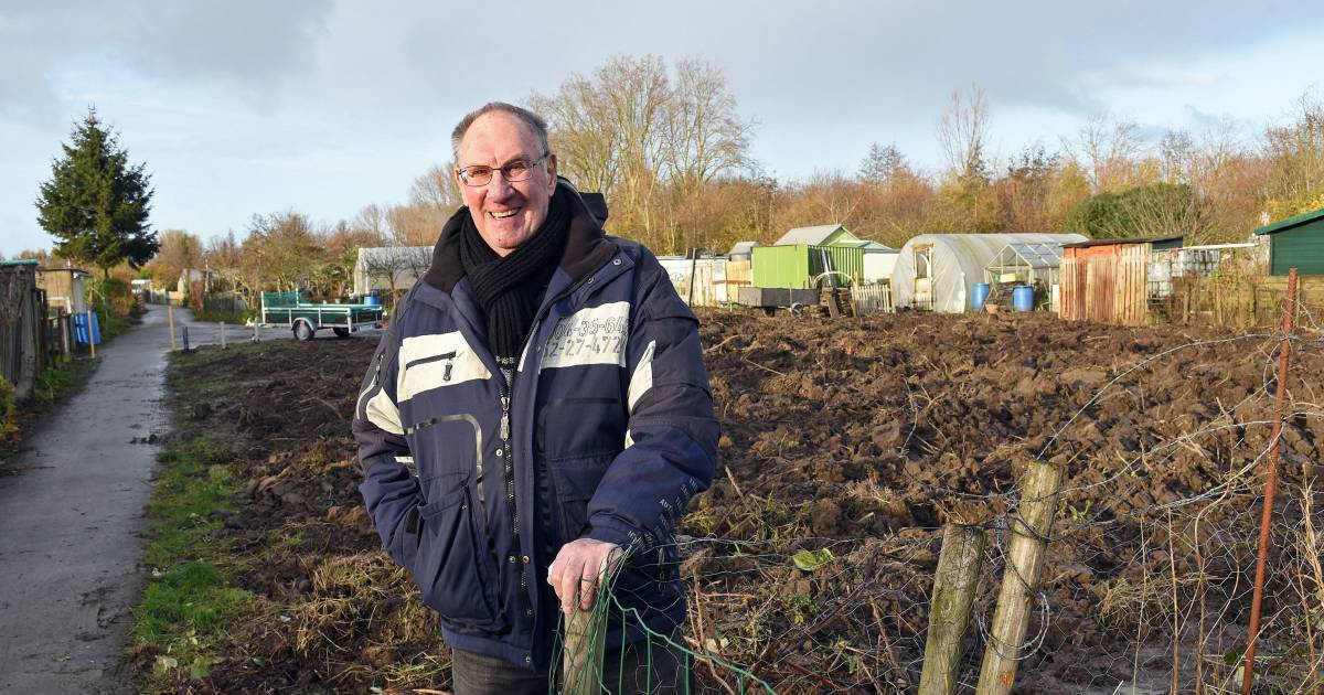 Jan Timmer tuinierde meer dan 50 jaar met de maan: ‘Midden in de nacht ...