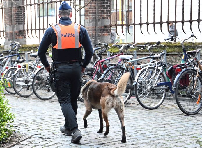 Druk weekend voor Oostendse politie: "Politiehond belandde bij ...