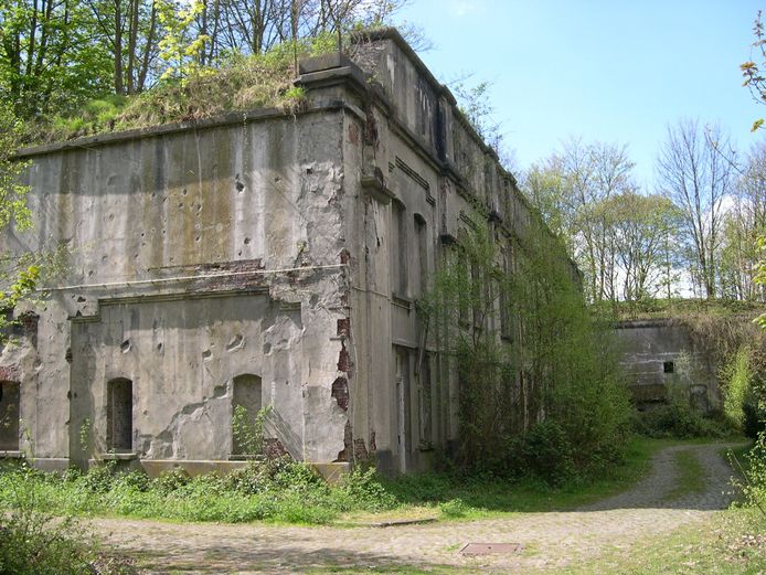 Tussen de bomen en langs monumentale gebouwen: ontdek Sint-Katelijne ...