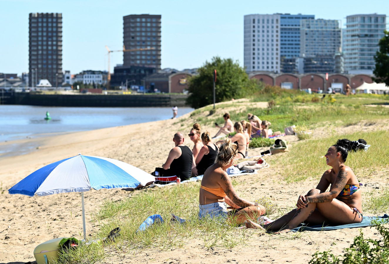 Van ‘woestenij’ tot architectenlabo: het verhaal van Linkeroever (dat ...