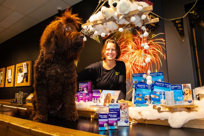 Ladies Night in dierenwinkel: ‘Klinkt generaliserend, maar de meeste ...