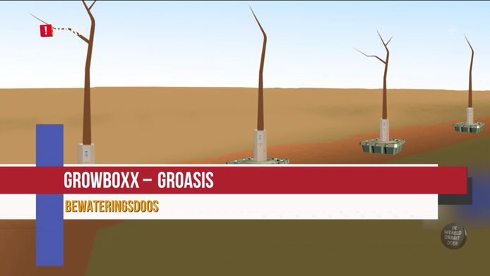 Groasis uit Steenbergen wint titel Nationaal Icoon | Overig | bndestem.nl