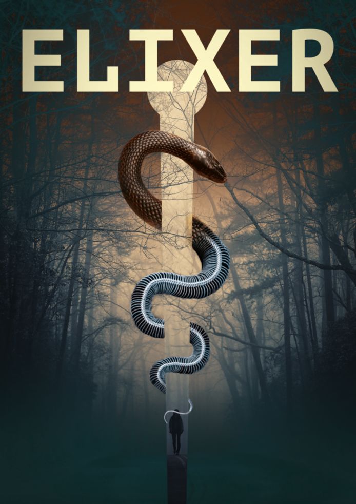 Het regiedebuut van Jonas Van Geel en een scenario van Pedro Elias: deze projecten krijgen steun ...