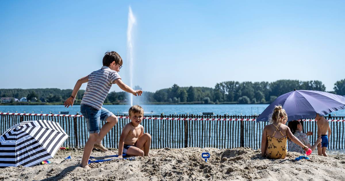Stralend zomerweer aan Nieuwdonk, maar zwemmen kan niet door blauwalgen ...