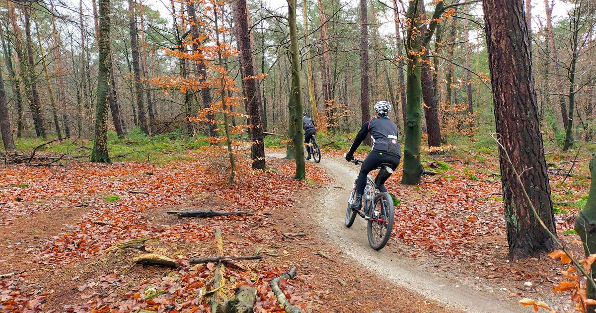Leef je uit op de mountainbike door de bossen van Tienen en Boutersem ...