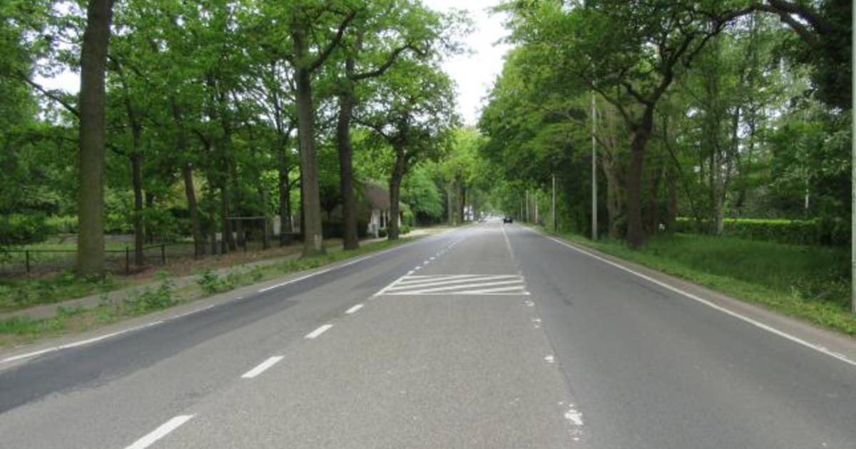 Breder fietspad en busstrook op Turnhoutsebaan in Schilde-Bergen worden ...