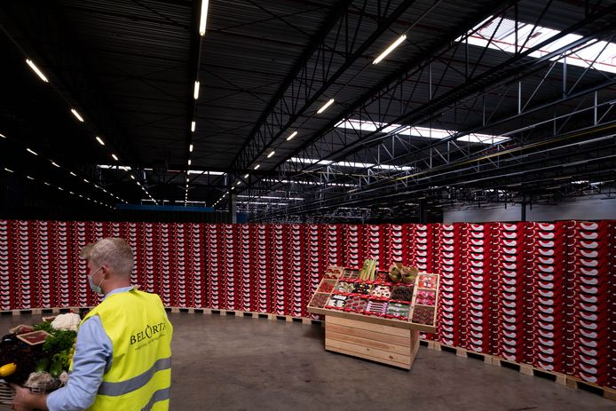 2021 was recordjaar voor BelOrta: “2022 wordt jaar vol uitdagingen en ...