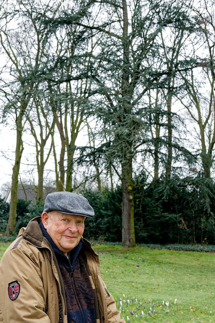 Herdenkingsboom gijzelaarskamp Beekvliet staat nog vol in bloei: ‘Mijn ...