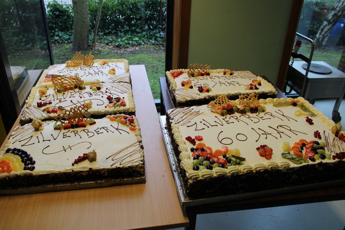 Basisschool Zilverberk viert zijn 60ste verjaardag: “We zijn de grootste basisschool van ...