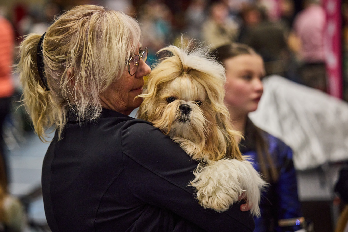 De hondenverkiezing: zielig, of een feest voor mens en dier? ‘Mijn ...