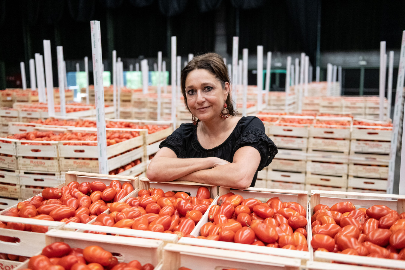 Waarom Vlamingen en Italianen in de rij staan voor Manuela's tomaten ...