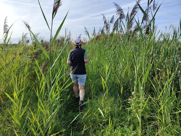 Zin in een avontuurlijke wandeling? Hier krijg je riet in je haren en ...