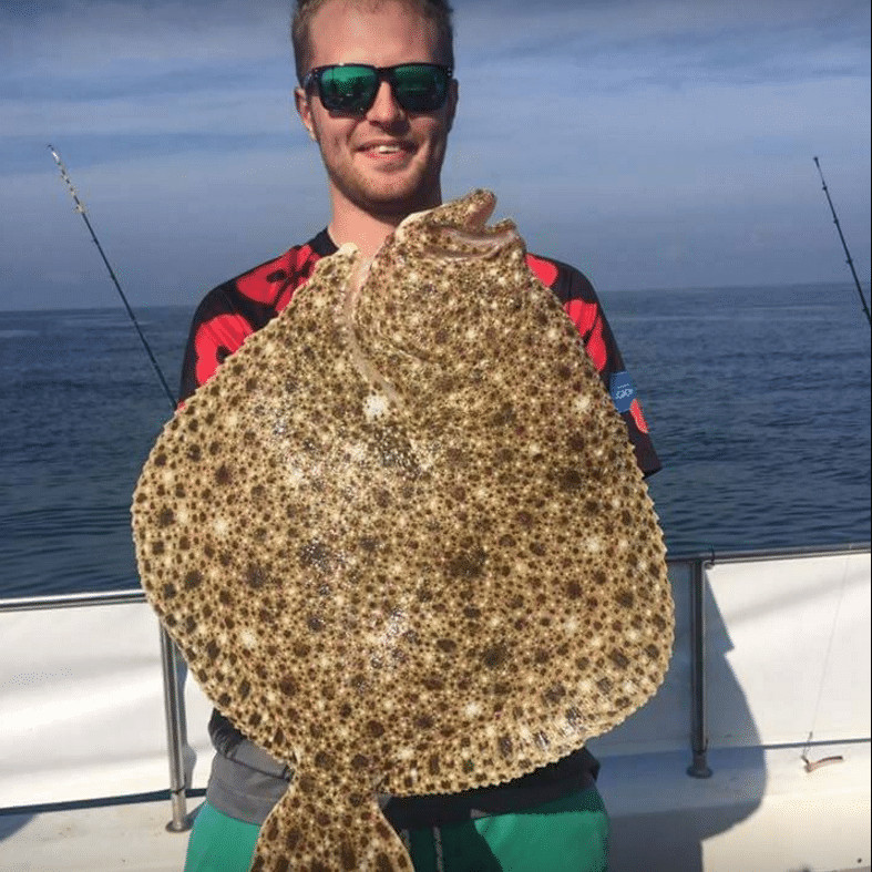 Jonge visser stikt bijna in zeetong: "Ik wou de vis een kus geven ...