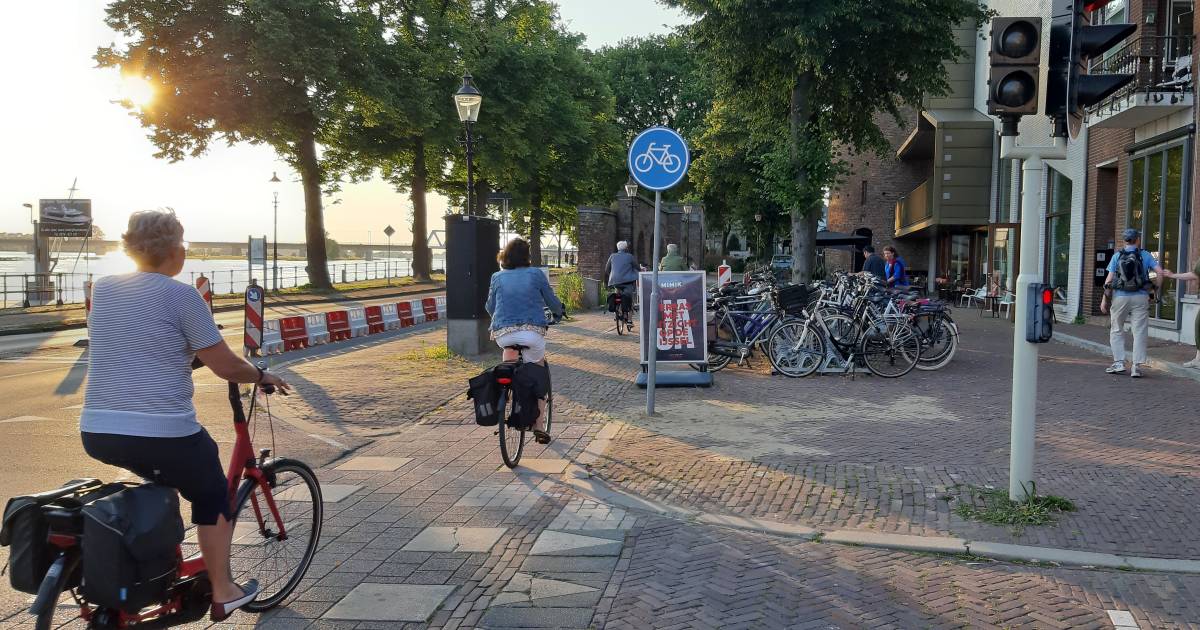 Deventer op z’n smalst; hoe een fietsstrook van 30 meter een soap werd ...