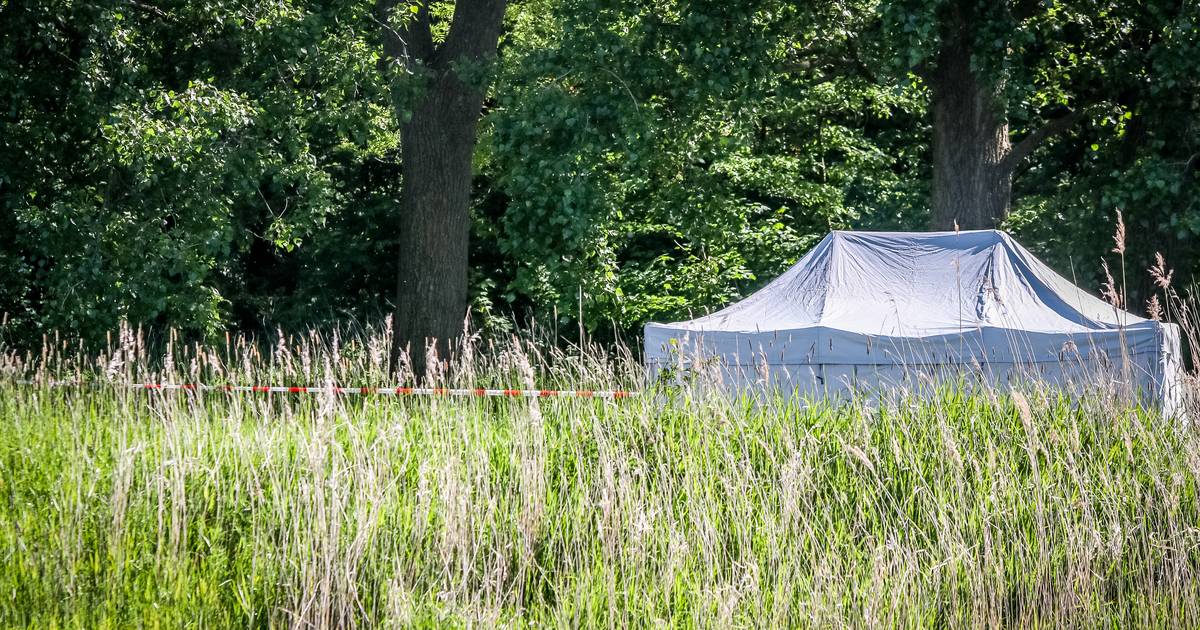 Man (26) uit Groningen opgepakt voor moord op Hidde Bergman aan Jaagpad ...