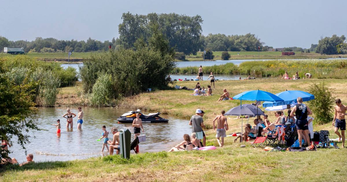 Het is warm, dus verkoeling zoeken op de strandjes langs de Rijn ...